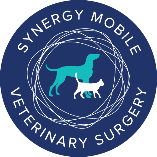 Synergy Mobile Veterinary Surgery