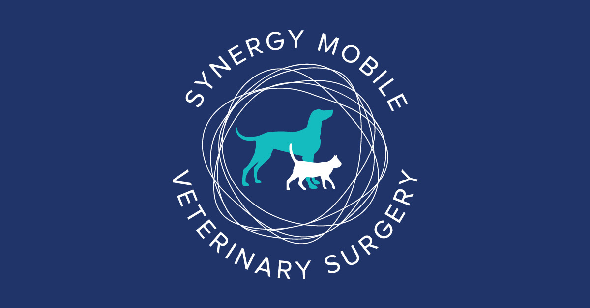 Synergy Mobile Veterinary Surgery